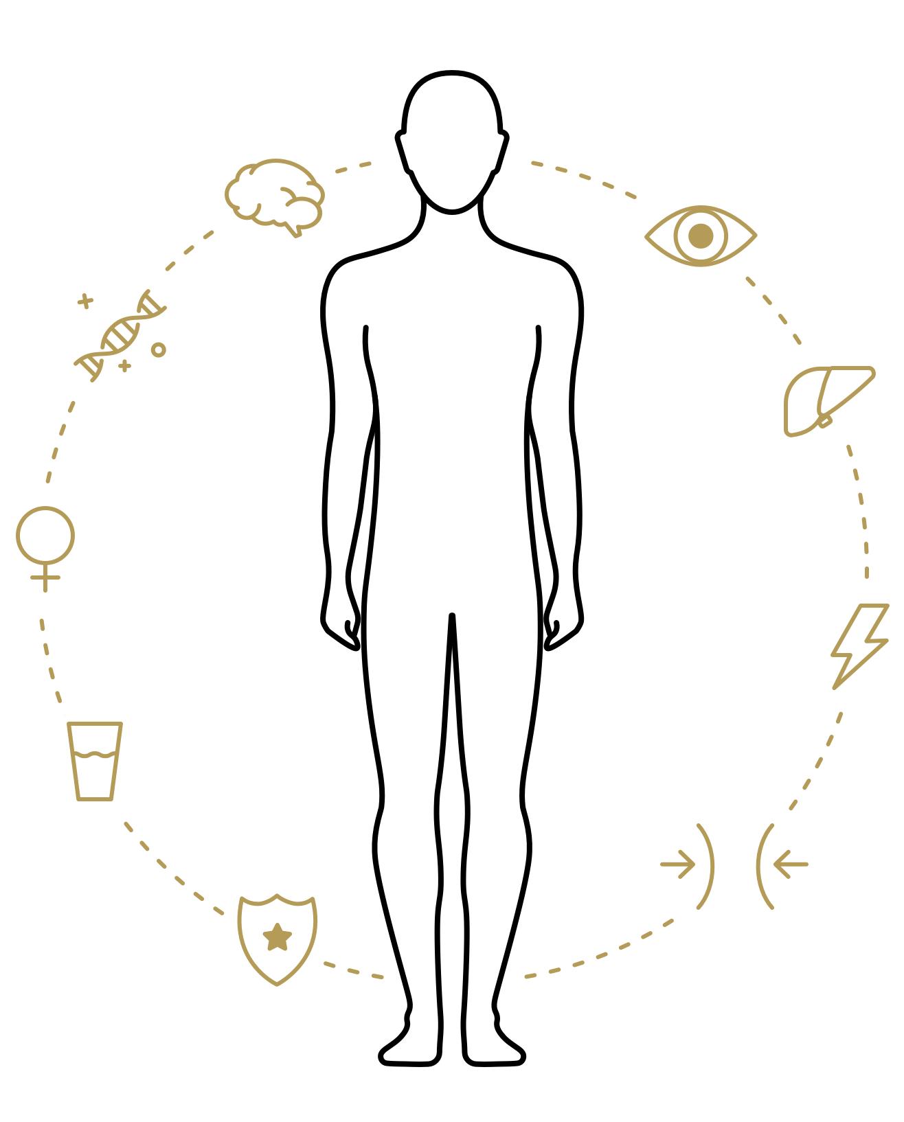 What is Methylation and Why Should You Care About it | Thorne